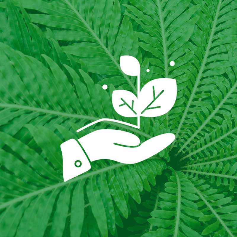 Inzicht in ZZP Uurtarieven 2025